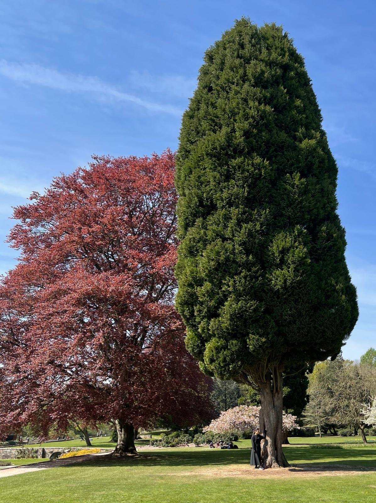 美女廚神Kit Mak遇人生樽頸移英 欲創英國搵食指南：唔好樣樣攞香港做比較